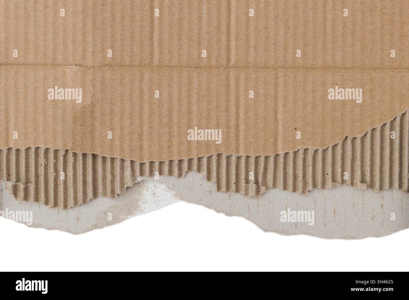 Slice of torn cardboard on white background Stock Photo - Alamy