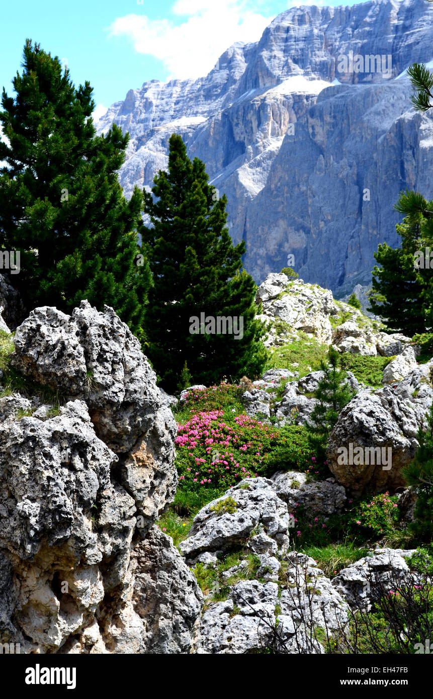 Val gardena valley hi-res stock photography and images - Alamy