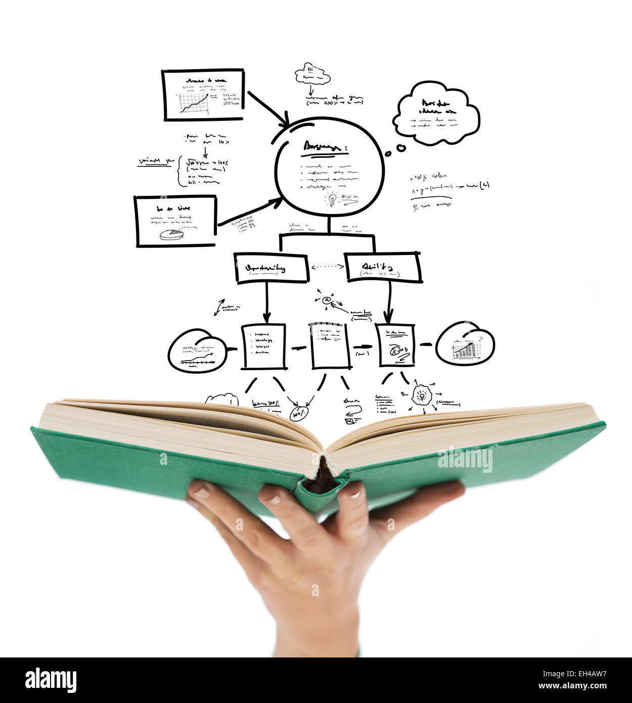 close up of woman hand holding open book Stock Photo - Alamy