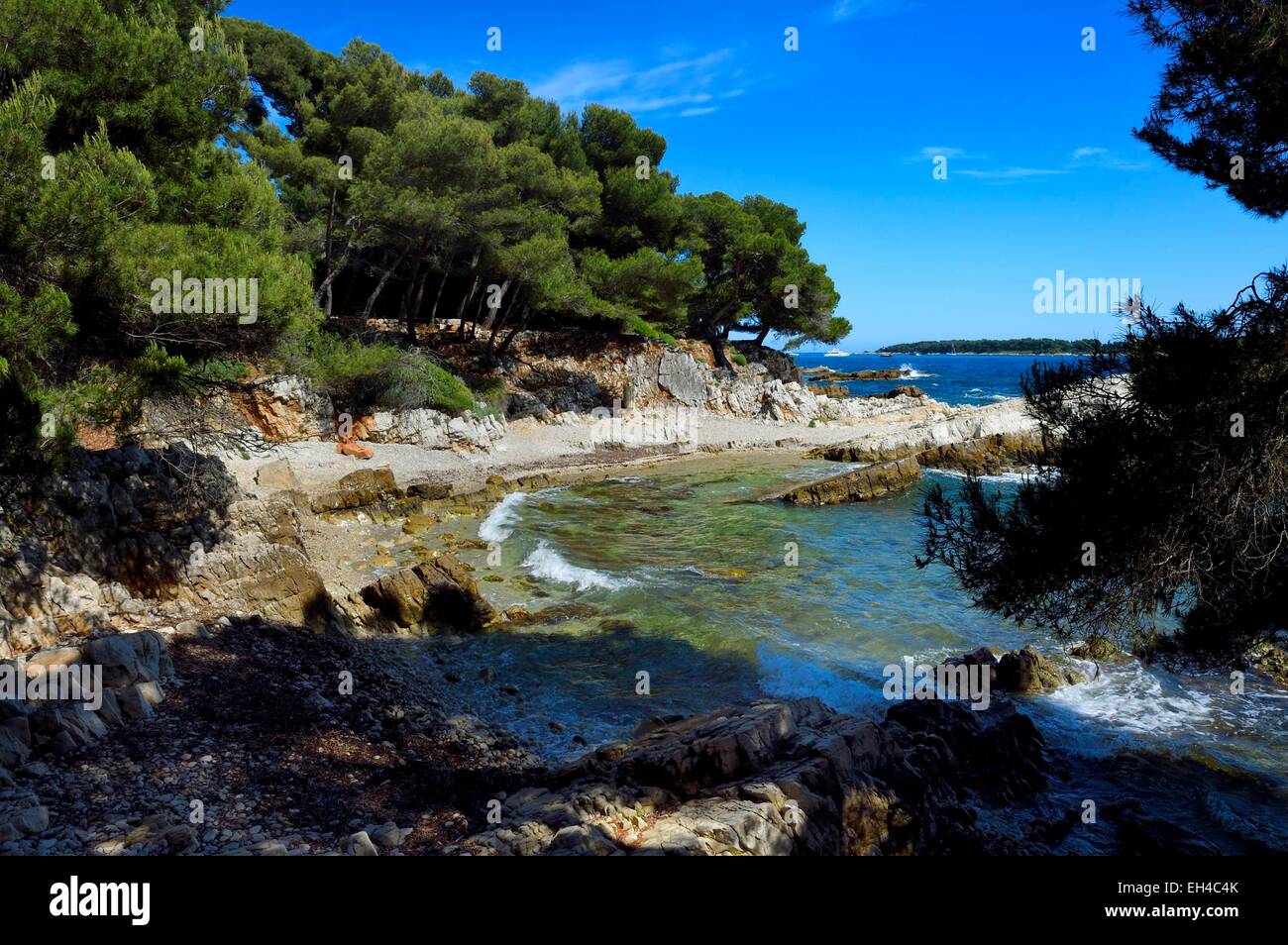 Dragon point hi-res stock photography and images - Alamy