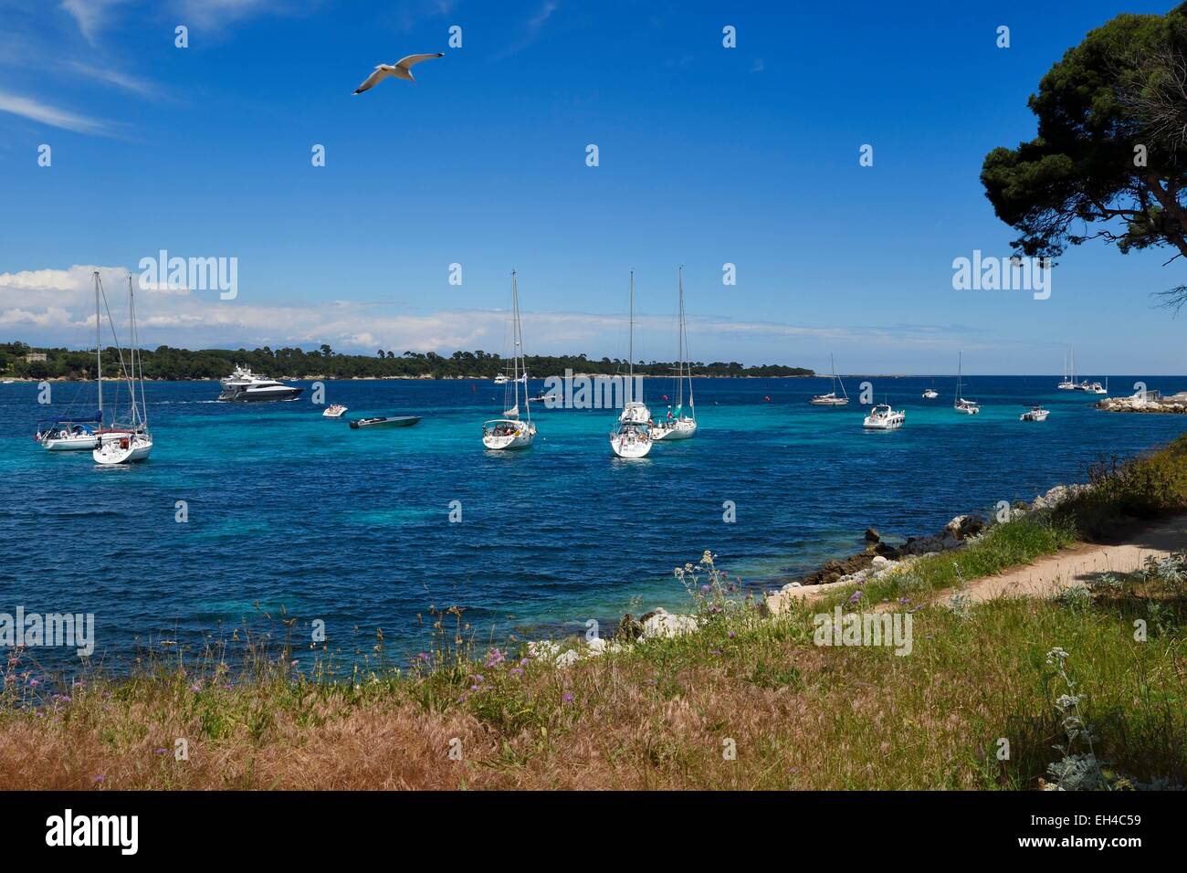 Saint honorat island hi-res stock photography and images - Alamy
