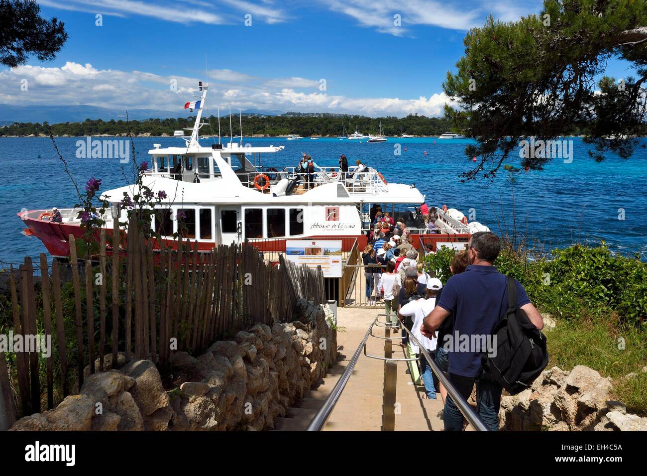 France, Alpes Maritimes, Lerins Islands, Saint-Honorat island, ferry ...