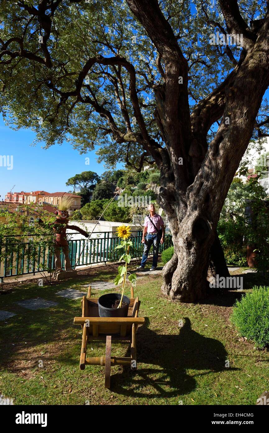 Principality of Monaco, Monaco, la Condamine district, the Princesse ...