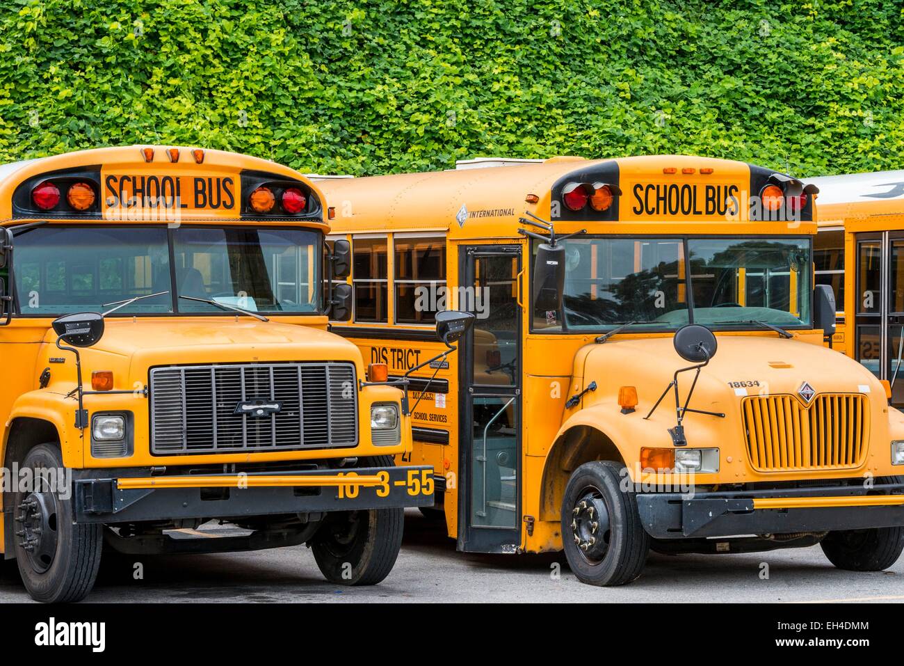 United States, Arkansas, West Helena, schoolbus depot Stock Photo - Alamy
