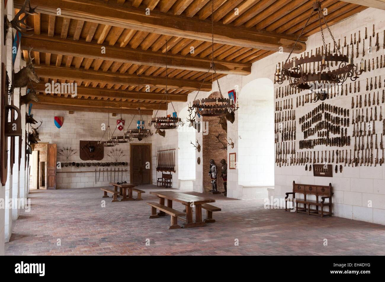 France, Yonne, Saint Fargeau, castle of the 10th century, interior ...