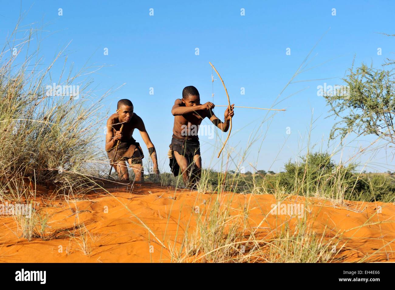 Namibia, Kalahari desert, Intu Afrika Kalahari Game Reserve, morning ...
