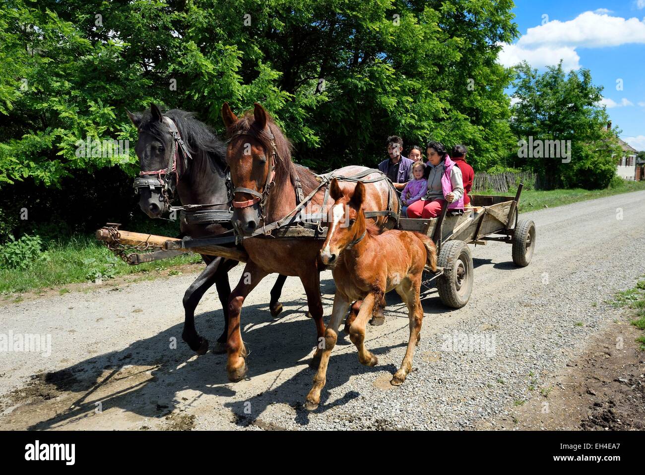 Horse Carriage Romania High Resolution Stock Photography and Images - Alamy