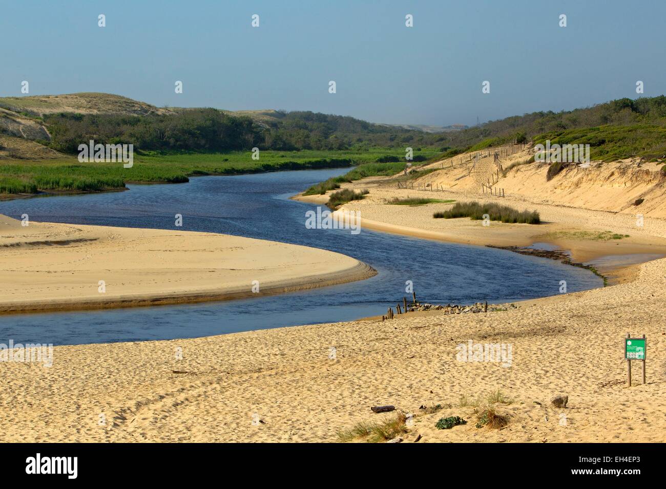 France, Landes, Moliets et Maa, the estuary of the national nature ...
