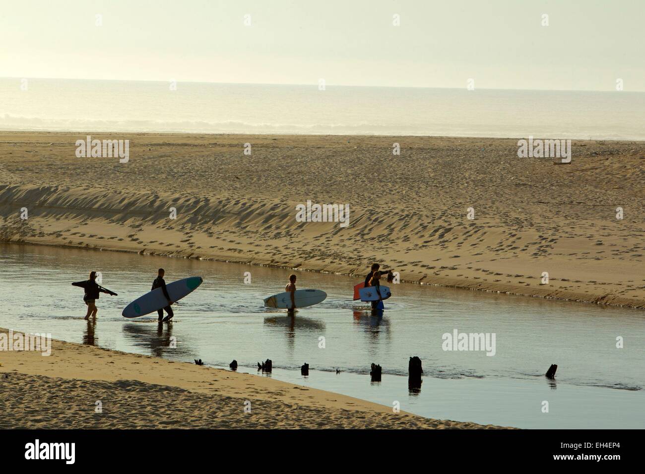 France, Landes, Moliets et Maa, the estuary of the national nature ...