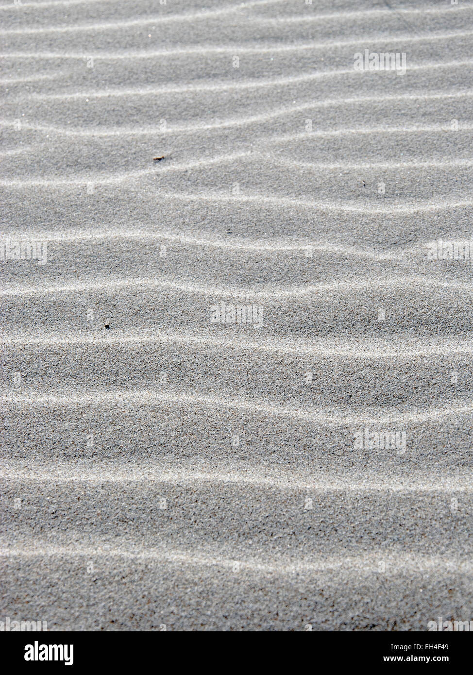 grain, pattern of pure white sand with waves and lines created by ...