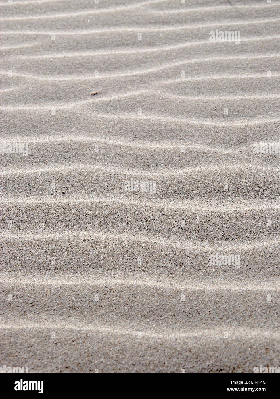 Grain of sand hi-res stock photography and images - Alamy