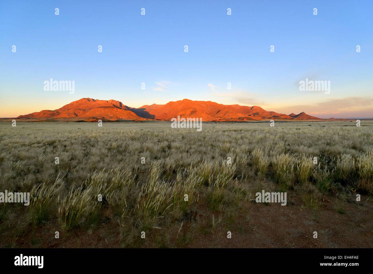 Namibia, Erongo region, Damaraland, Brandberg and Ugab river valley ...