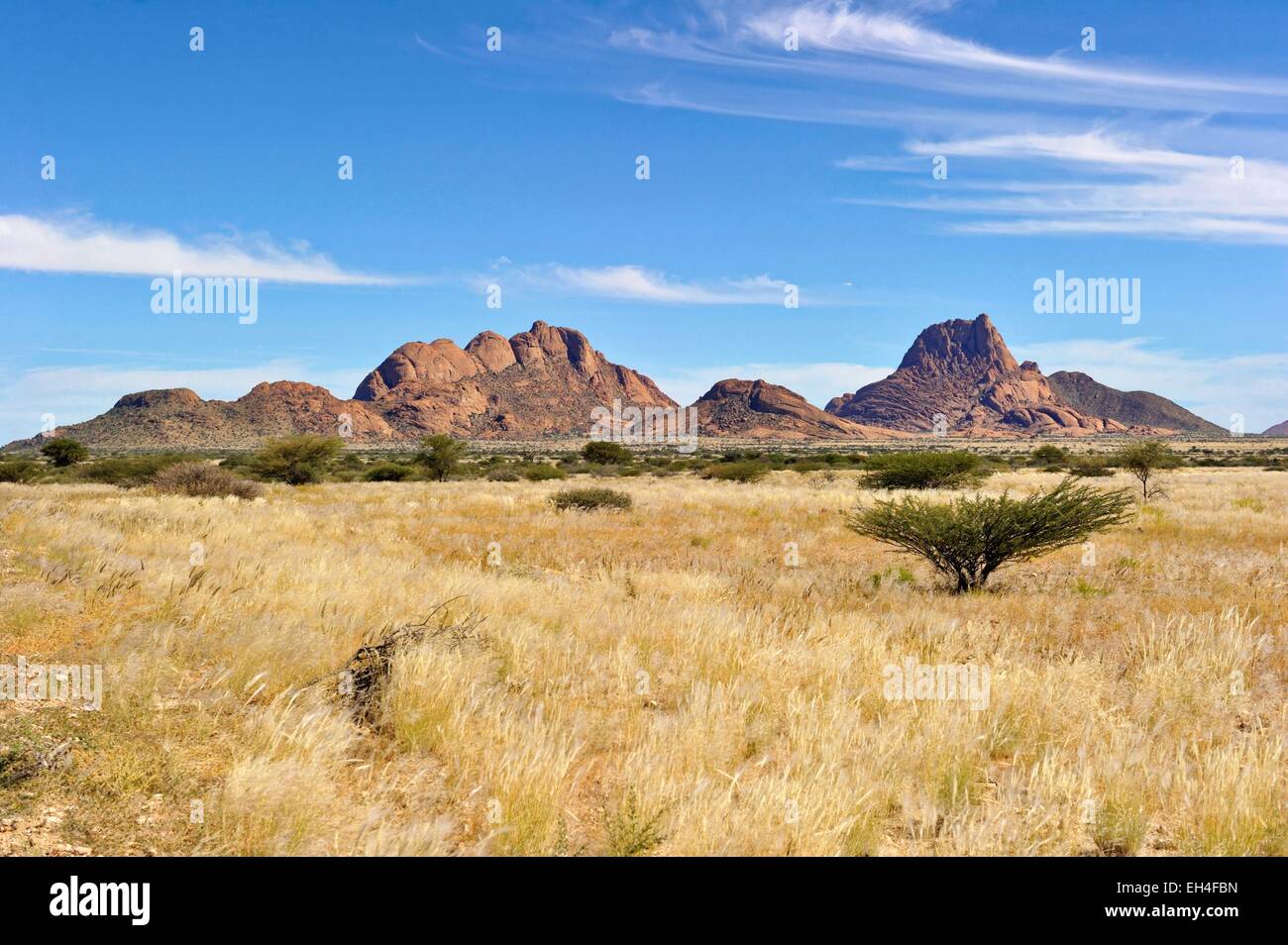 Namibia, Erongo region, Damaraland, Namib desert, Spitzkoppe or ...