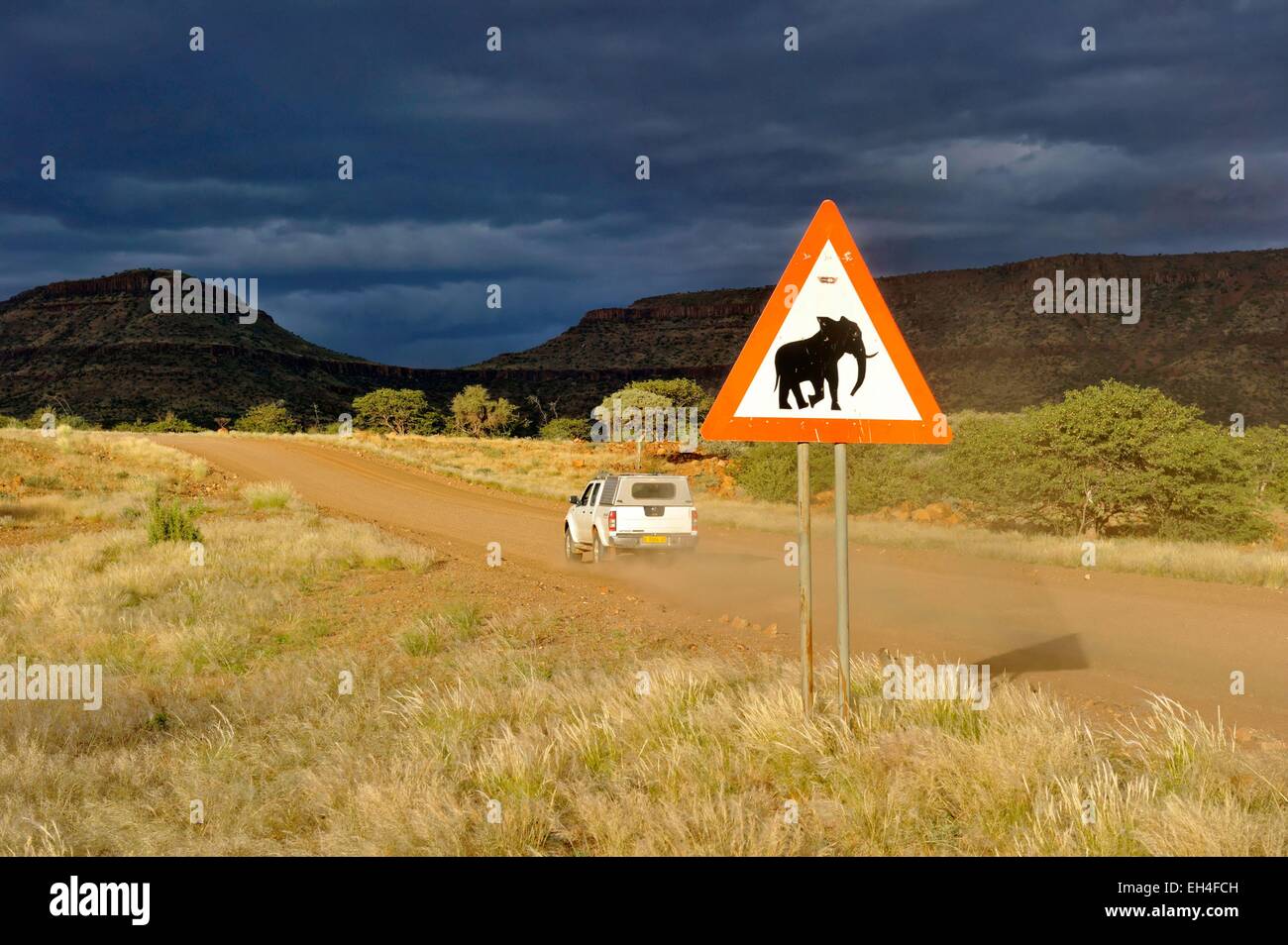 Road Sign Beware Of Elephants High Resolution Stock Photography and ...
