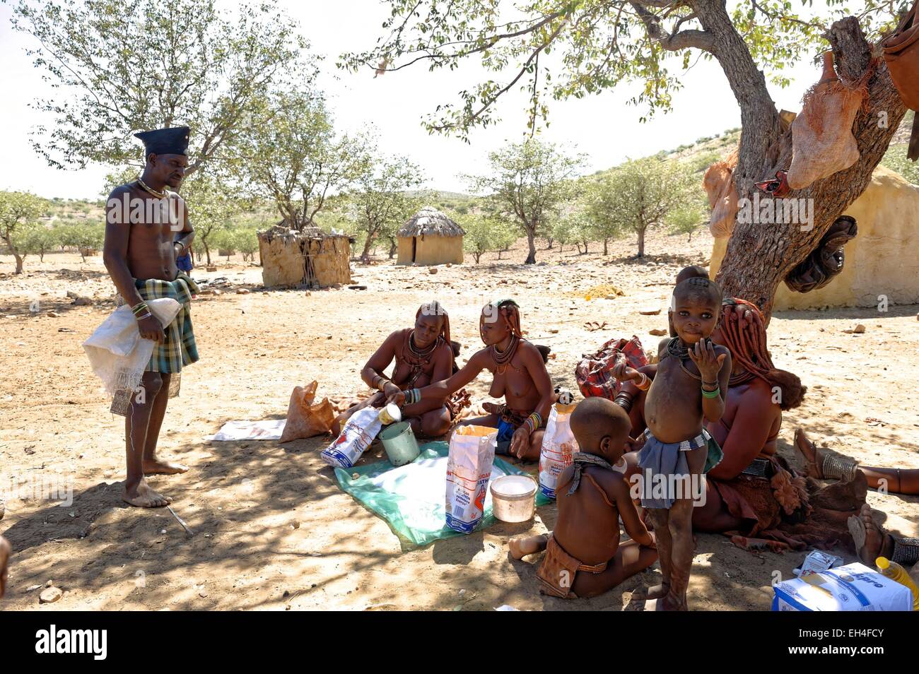 Himba woman tree hi-res stock photography and images - Alamy