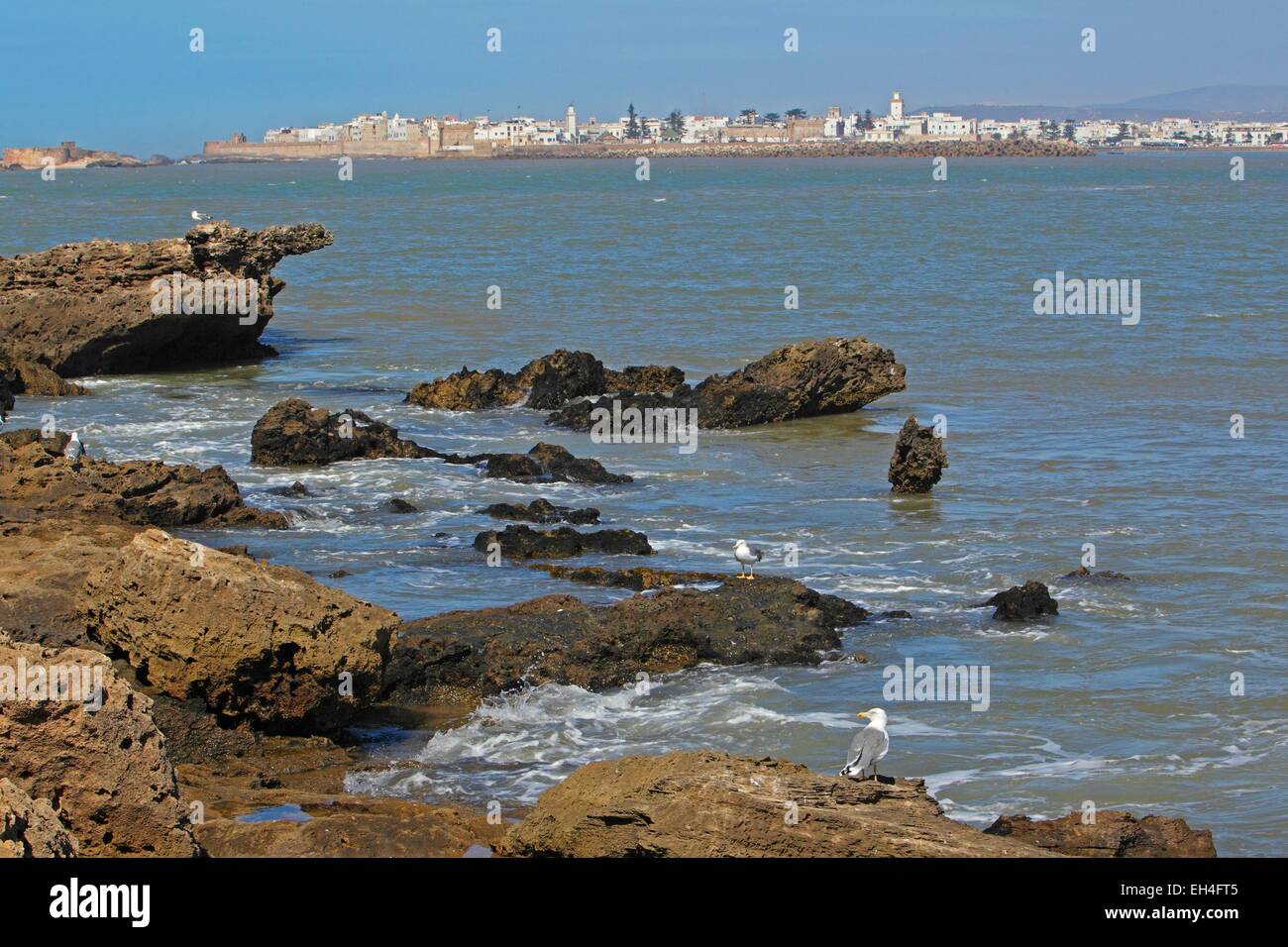 Essaouira morocco mogador island hi-res stock photography and images ...