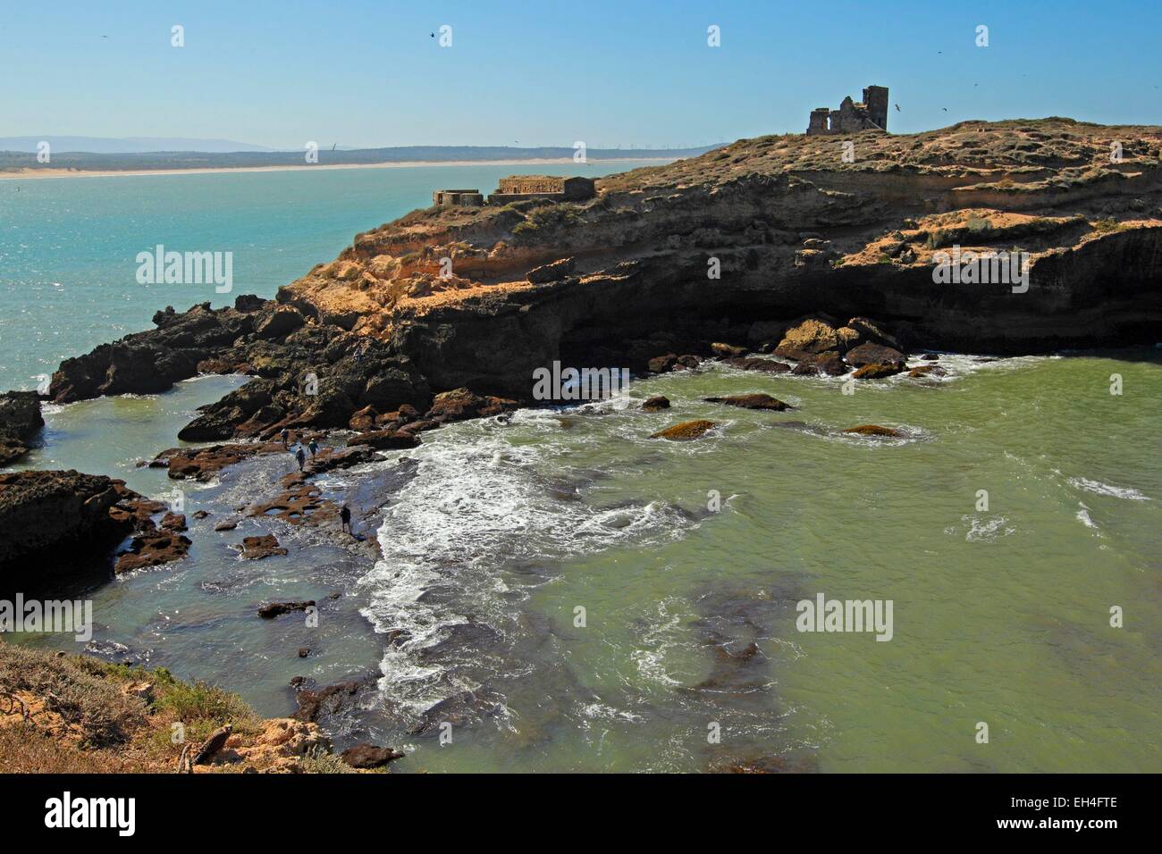 Morocco, Essaouira, Archipelago of Essaouira, Mogador islands Stock ...