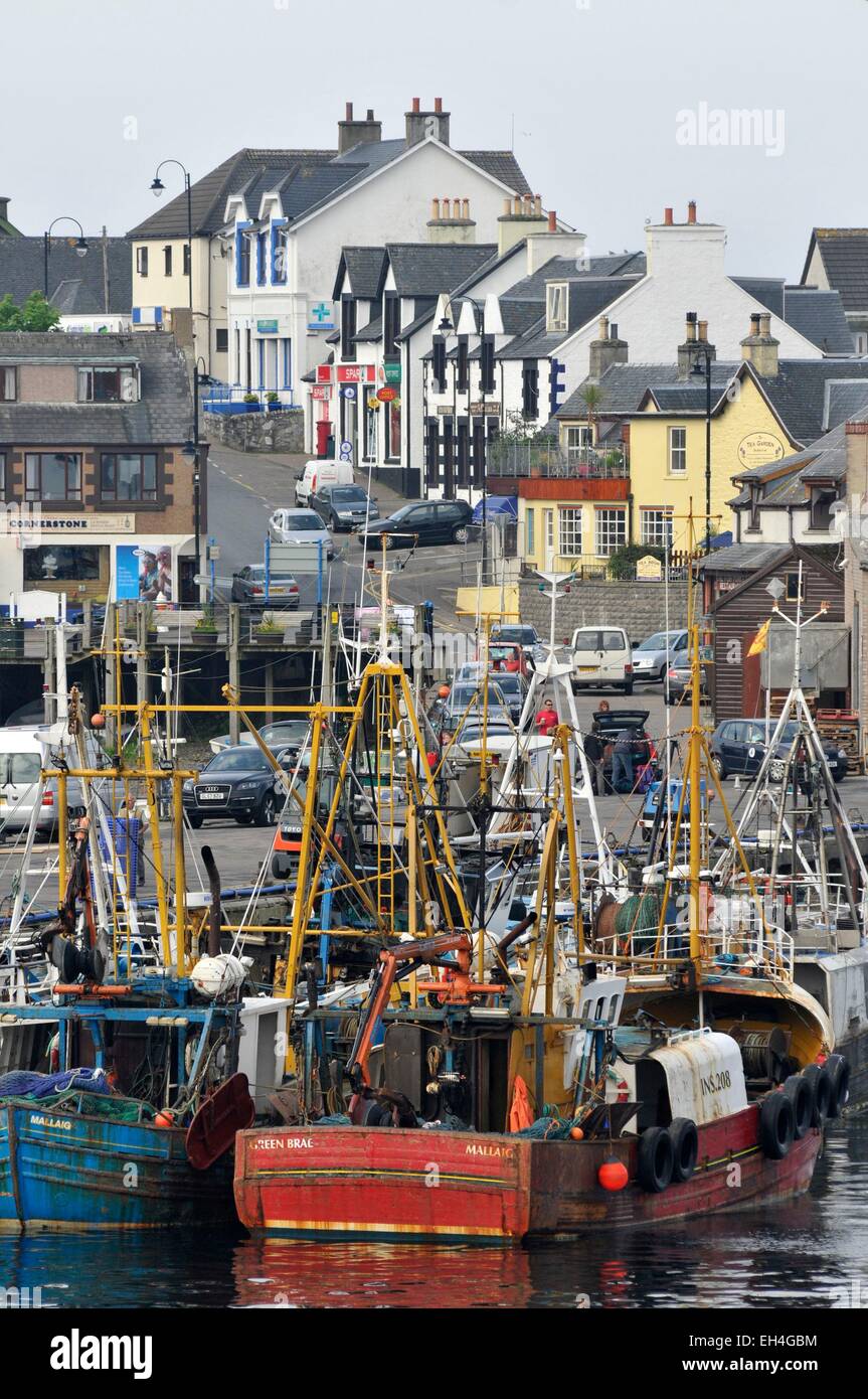 United Kingdom, Scotland, Highlands, Mallaig, fishing boats in the ...