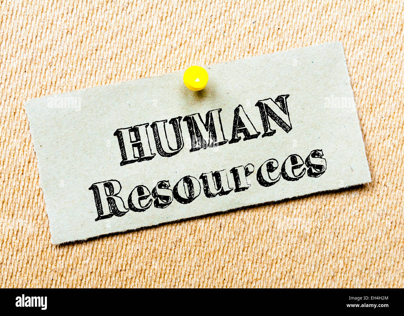Human resource function hi-res stock photography and images - Alamy