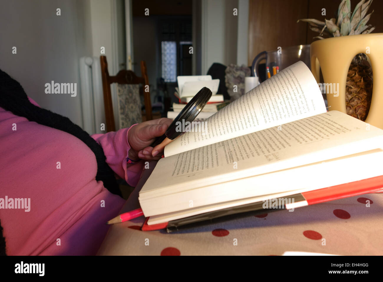 Lady reading a book hi-res stock photography and images - Alamy