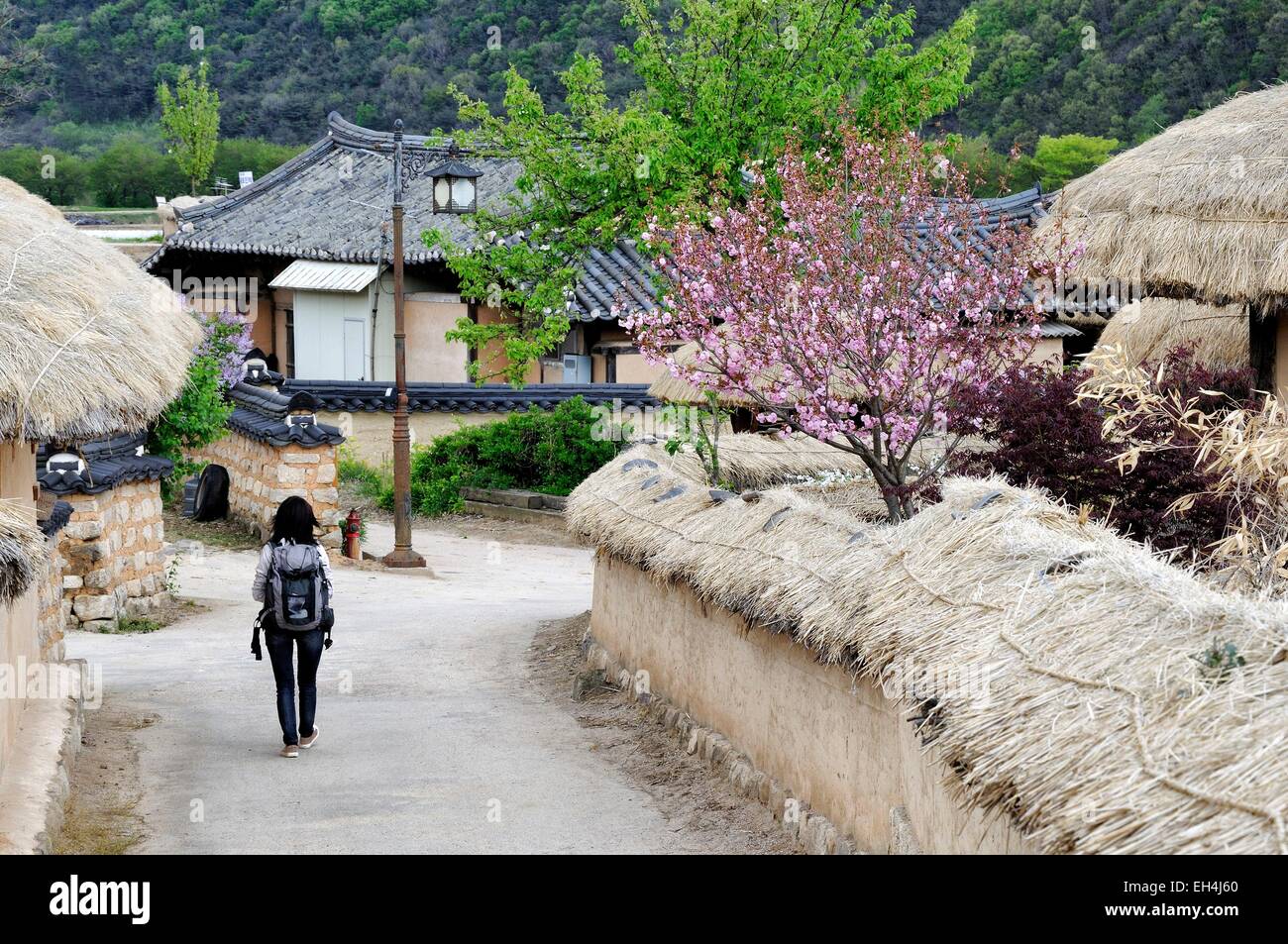 South Korea, North Gyeongsang Province (Gyeongsangbuk-do), Andong ...