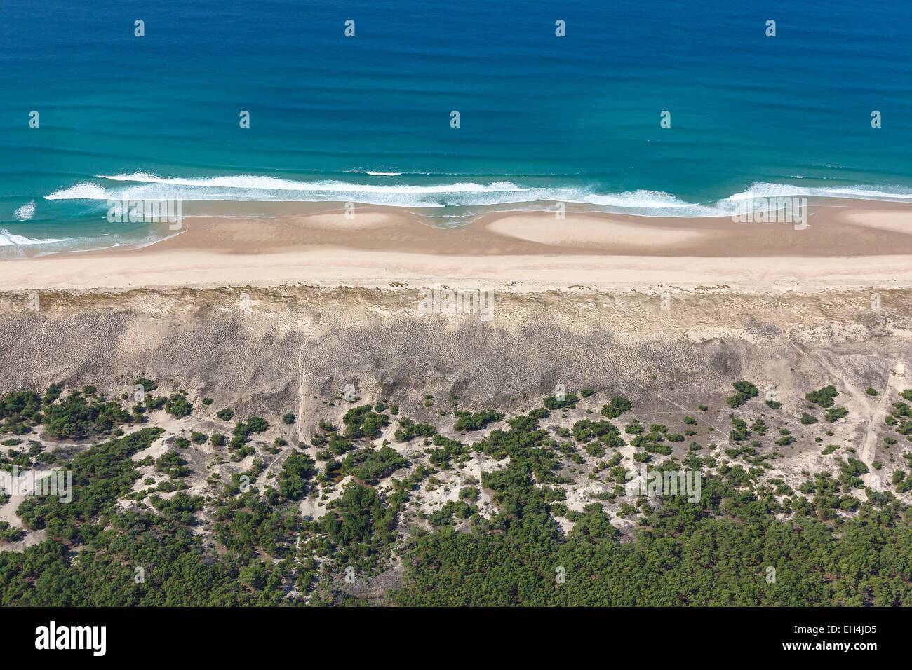 France, Gironde, Le Porge, the beach, the dune and the pine forest ...