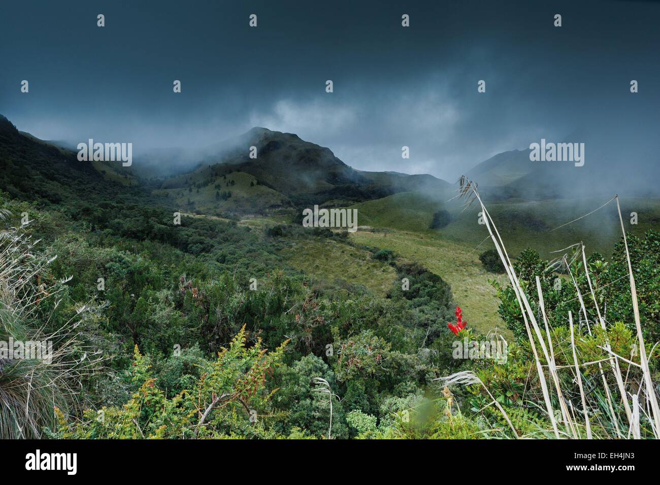Ecuador, Imbabura, Mojanda lagoon, mountain landscape of equatorial ...