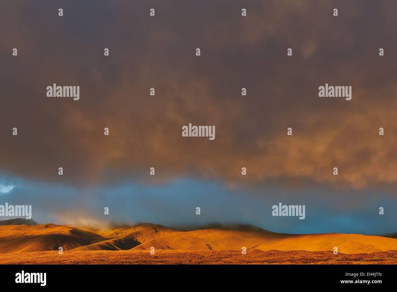 Ecuador, Cotopaxi, Cotopaxi National Park, Andean mountain landscape of ...