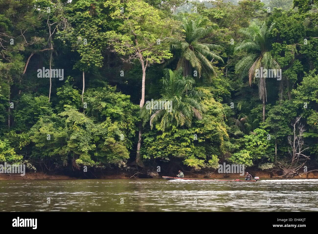 Moyen ogooue hi-res stock photography and images - Alamy