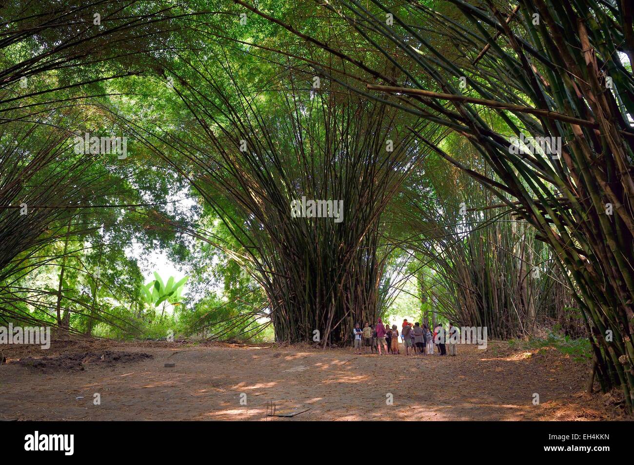 Gabon, Ogooue-Maritime Province, Omboue region, Fernan Vaz (Nkomi ...