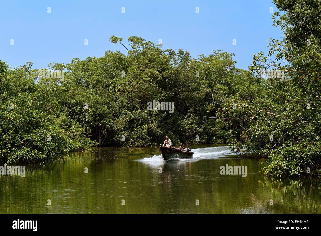 Gabon, Estuaire Province, Akanda National Park, canoe fishermen in the ...
