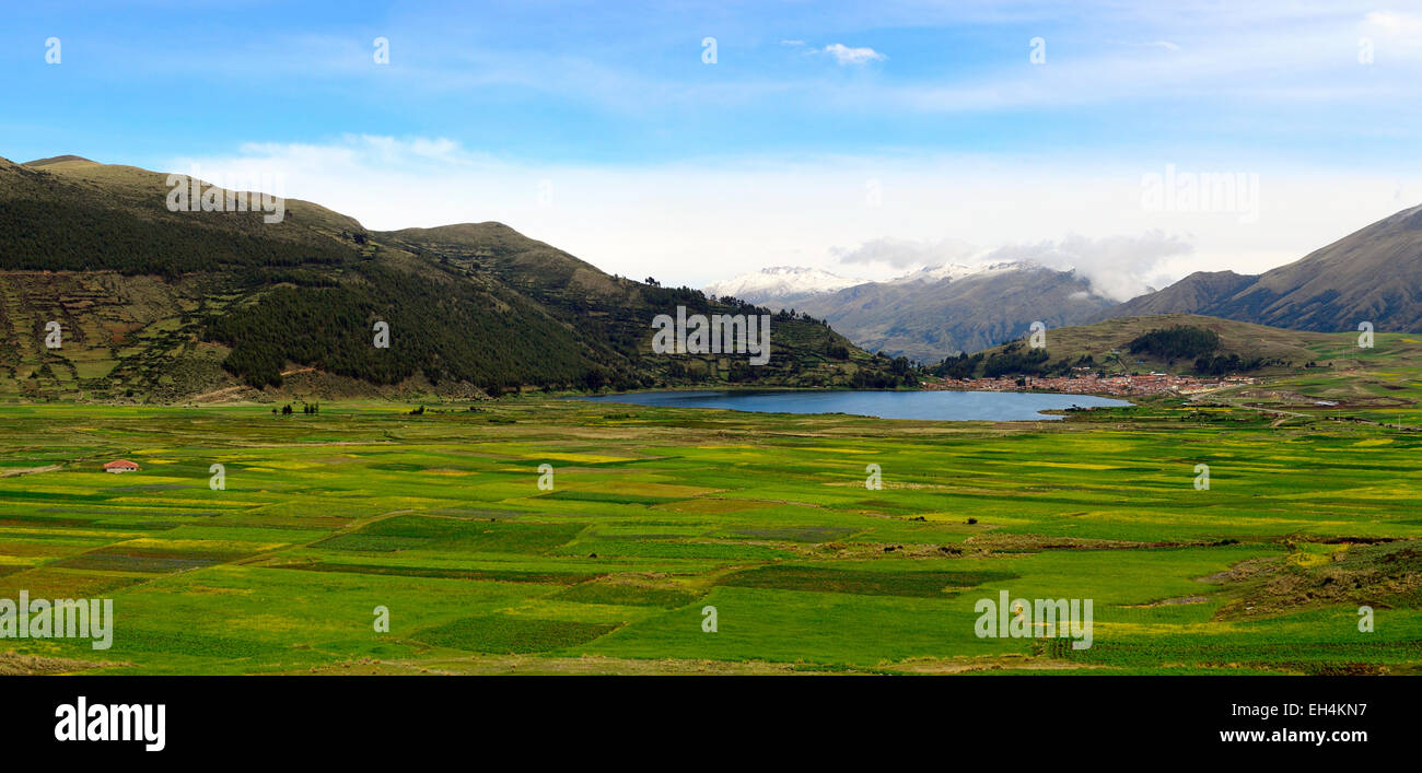 Peru, Cuzco region, Acomayo province, 4 lagunas, Pomacanchi lake Stock ...