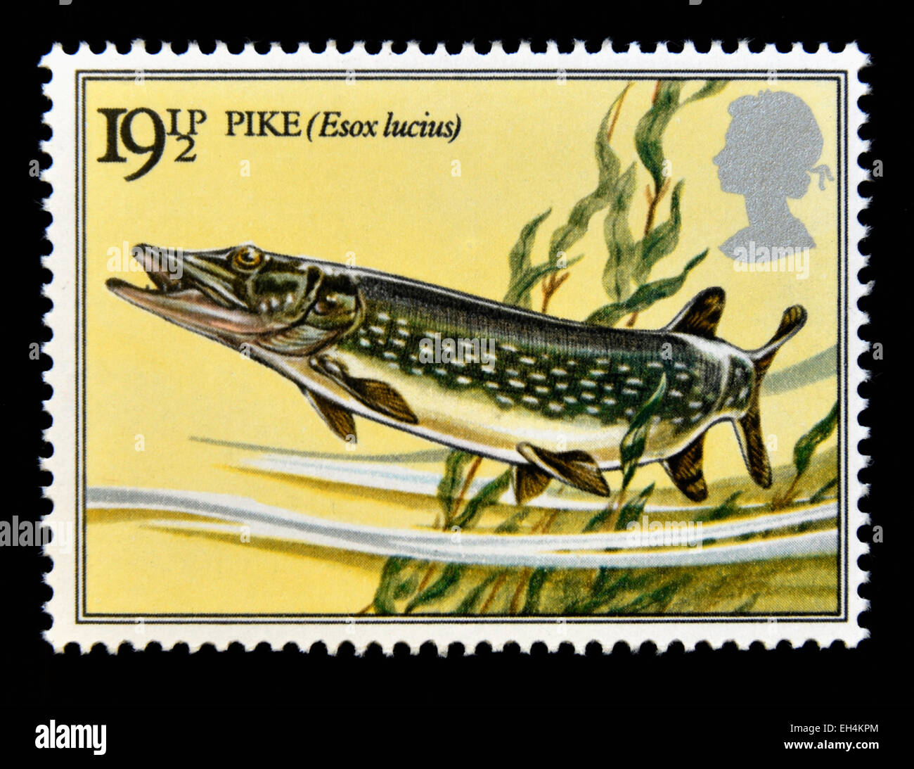 Postage stamp. Great Britain. Queen Elizabeth II. 1983. British River ...