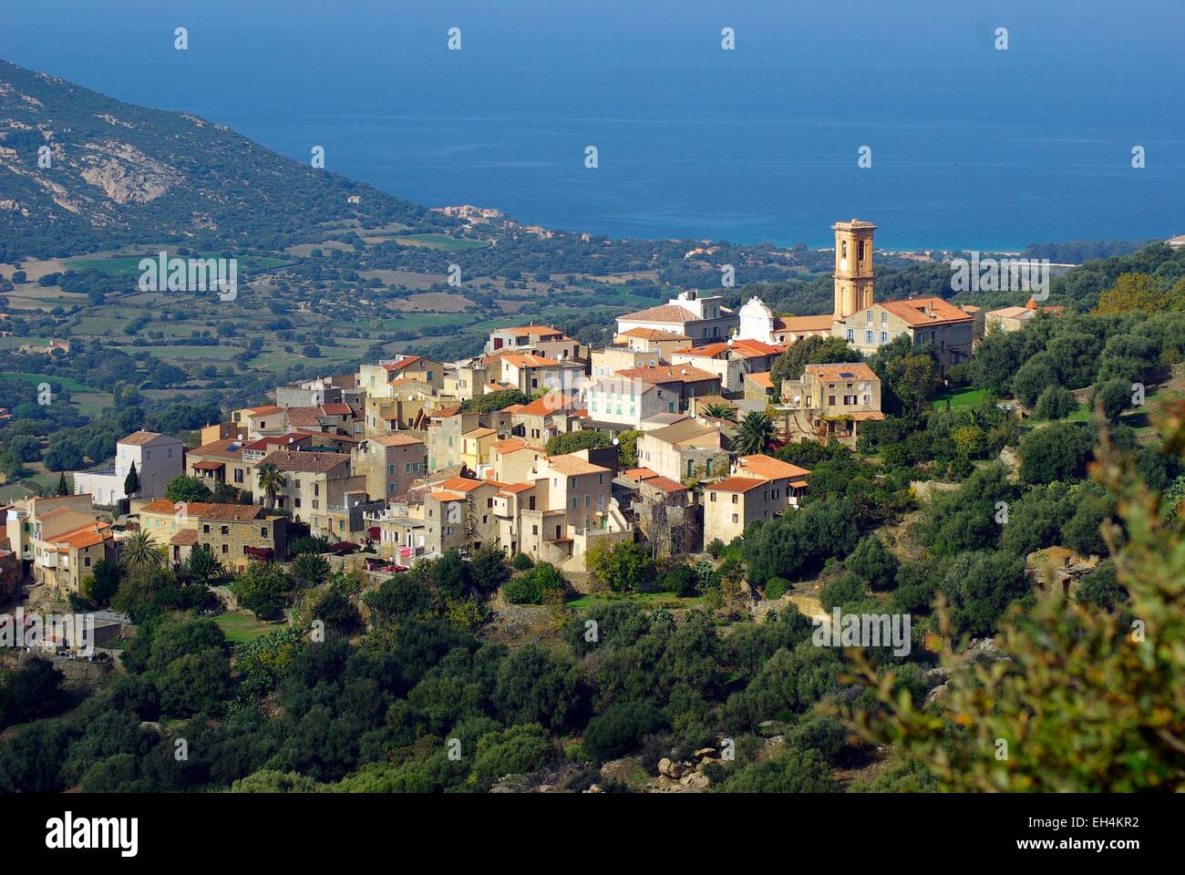 France, Haute Corse, Balagne, Cateri, Overview of the perched village ...
