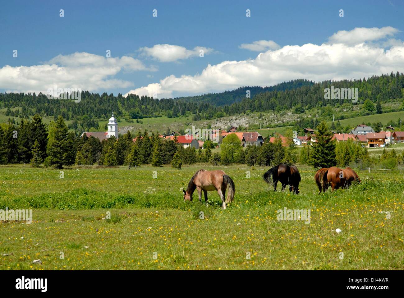 Franche comte mouthe hi-res stock photography and images - Alamy