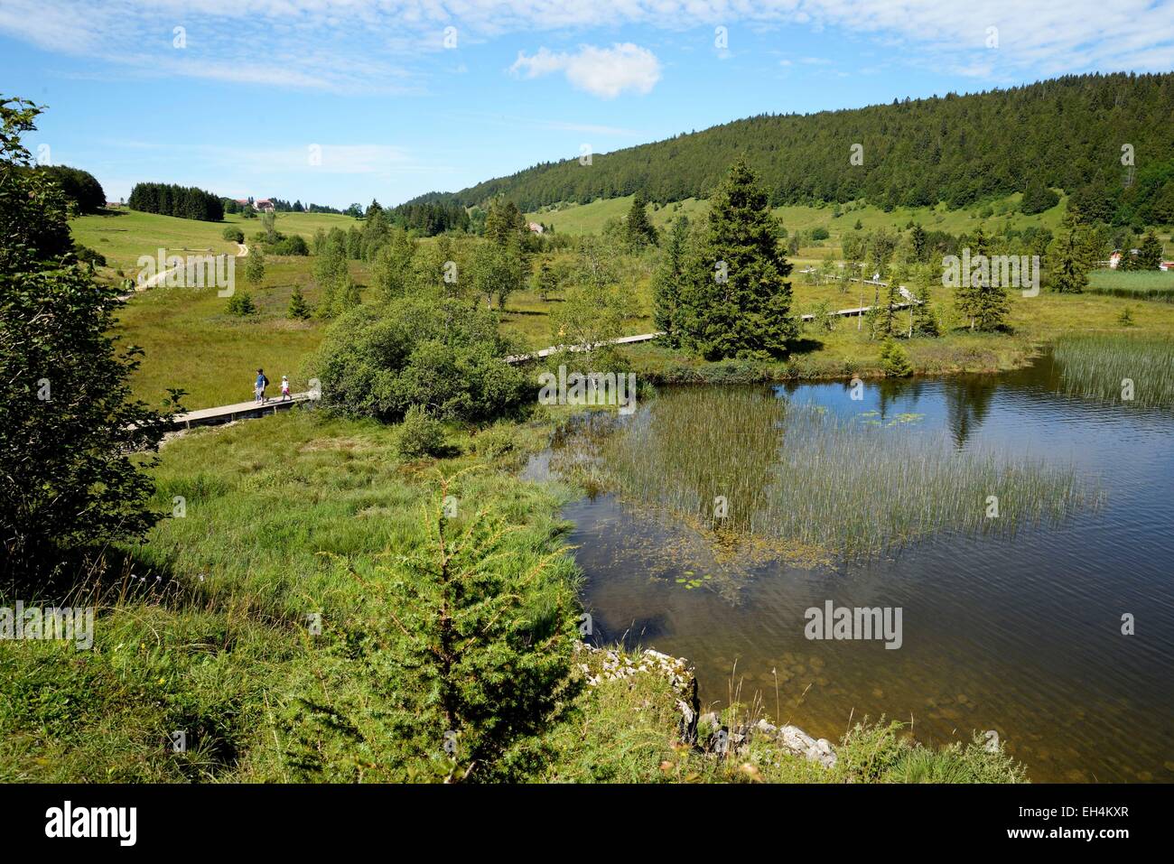 France, Jura, Les Rousses, Lac des Rousses, peatland, nature trail ...