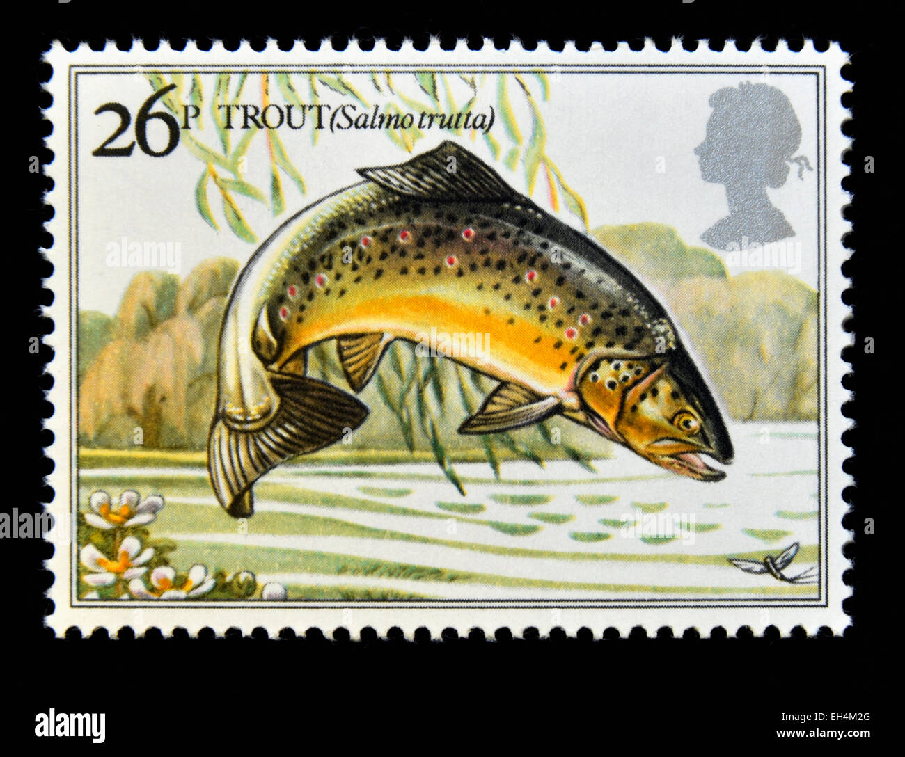 Postage stamp. Great Britain. Queen Elizabeth II. 1983. British River ...