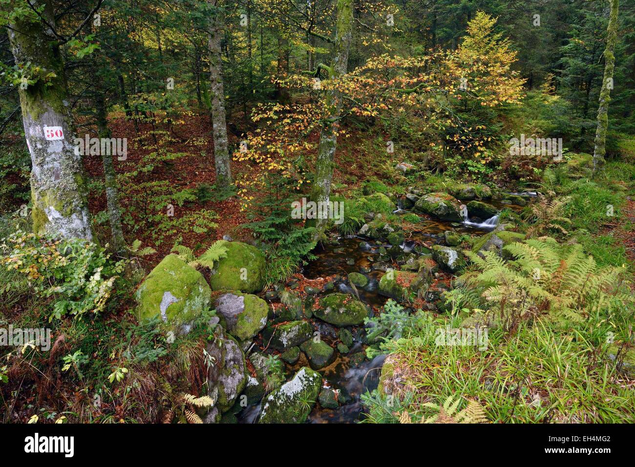 Ventron hi-res stock photography and images - Alamy