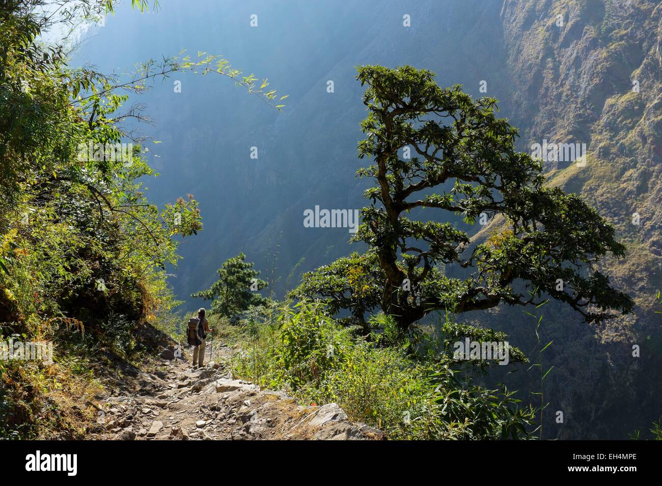Nepal, Gandaki zone, Tsum valley trek, path close to Lokpa Stock Photo ...