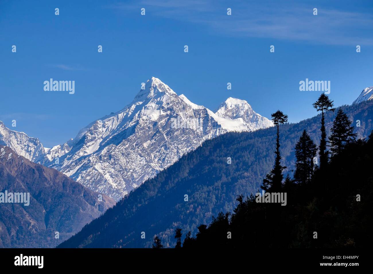 Nepal, Gandaki zone, Manaslu Circuit, between Prok and Lho, the Ganesh ...