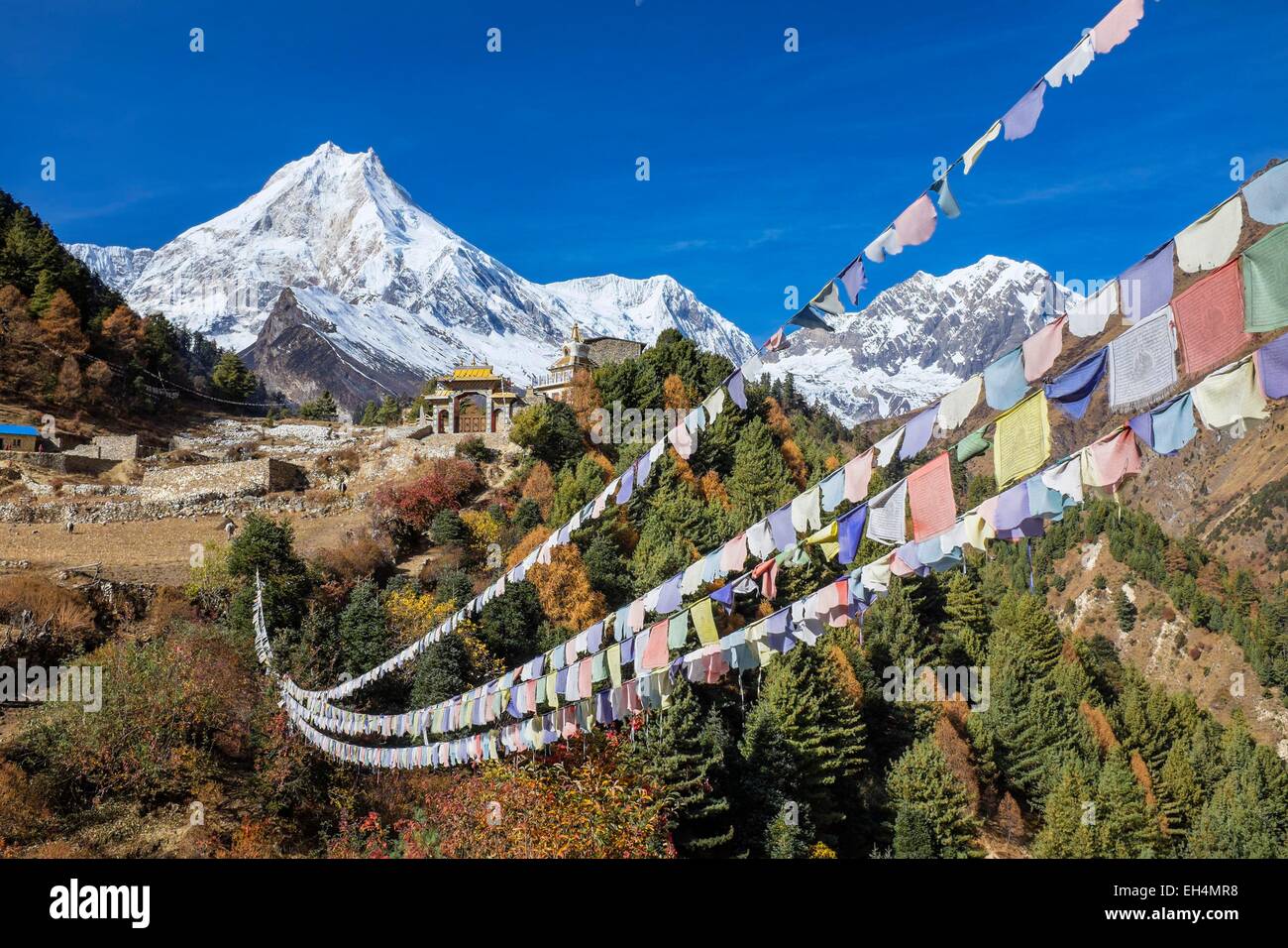 Nepal, Gandaki zone, Manaslu Circuit, between Prok and Lho, the Mount ...