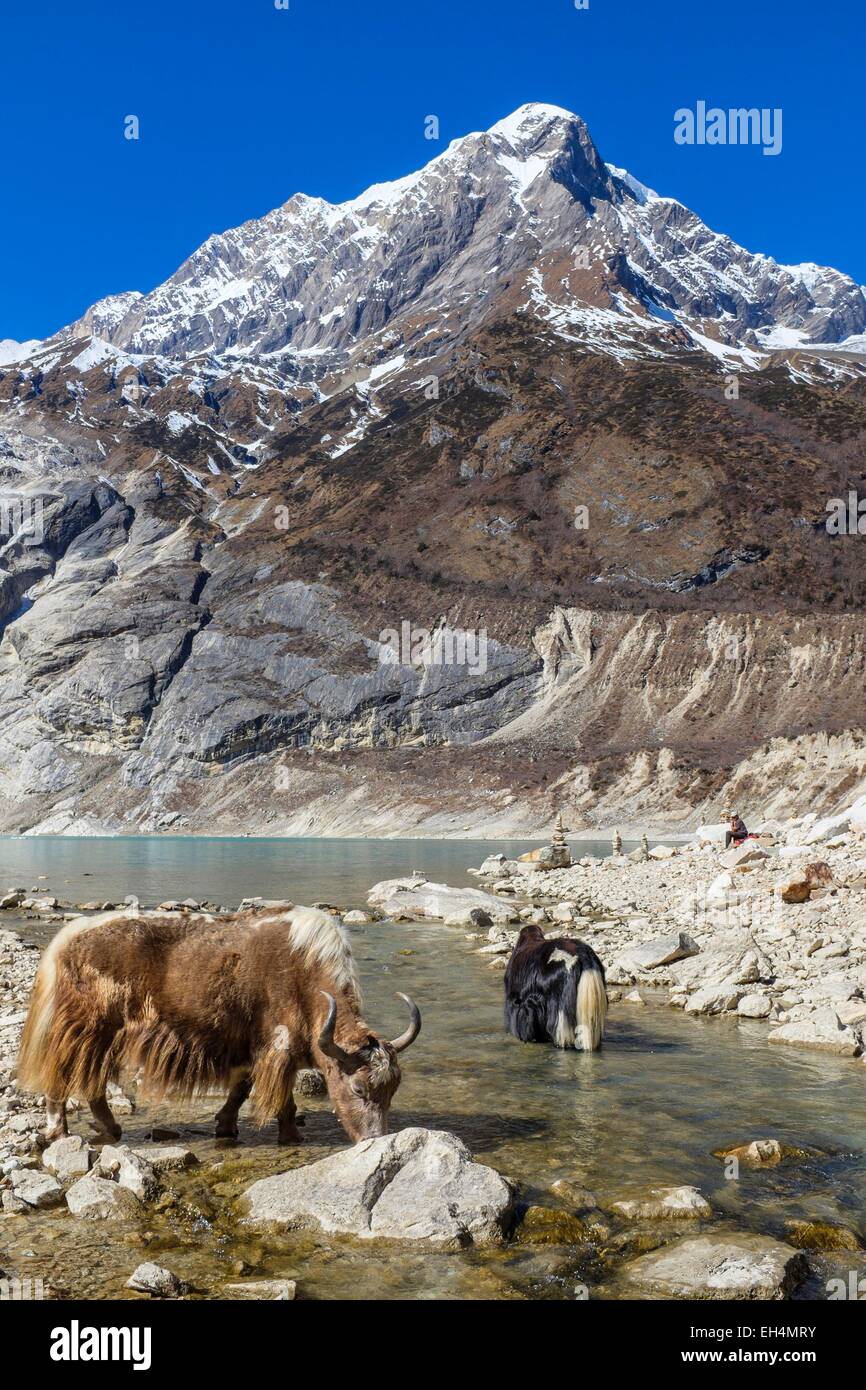 Birendra of nepal hi-res stock photography and images - Alamy