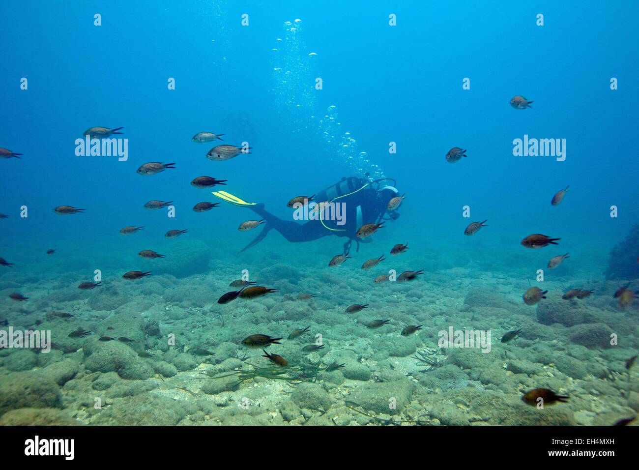 Scuba diving greece hi-res stock photography and images - Alamy