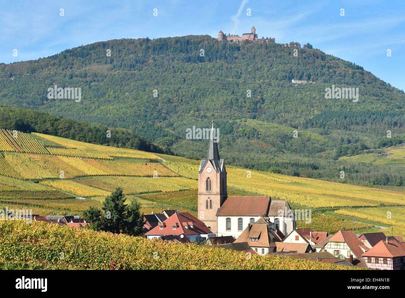 France, Haut Rhin, on the Wine Road of Alsace, Rodern village and Haut ...