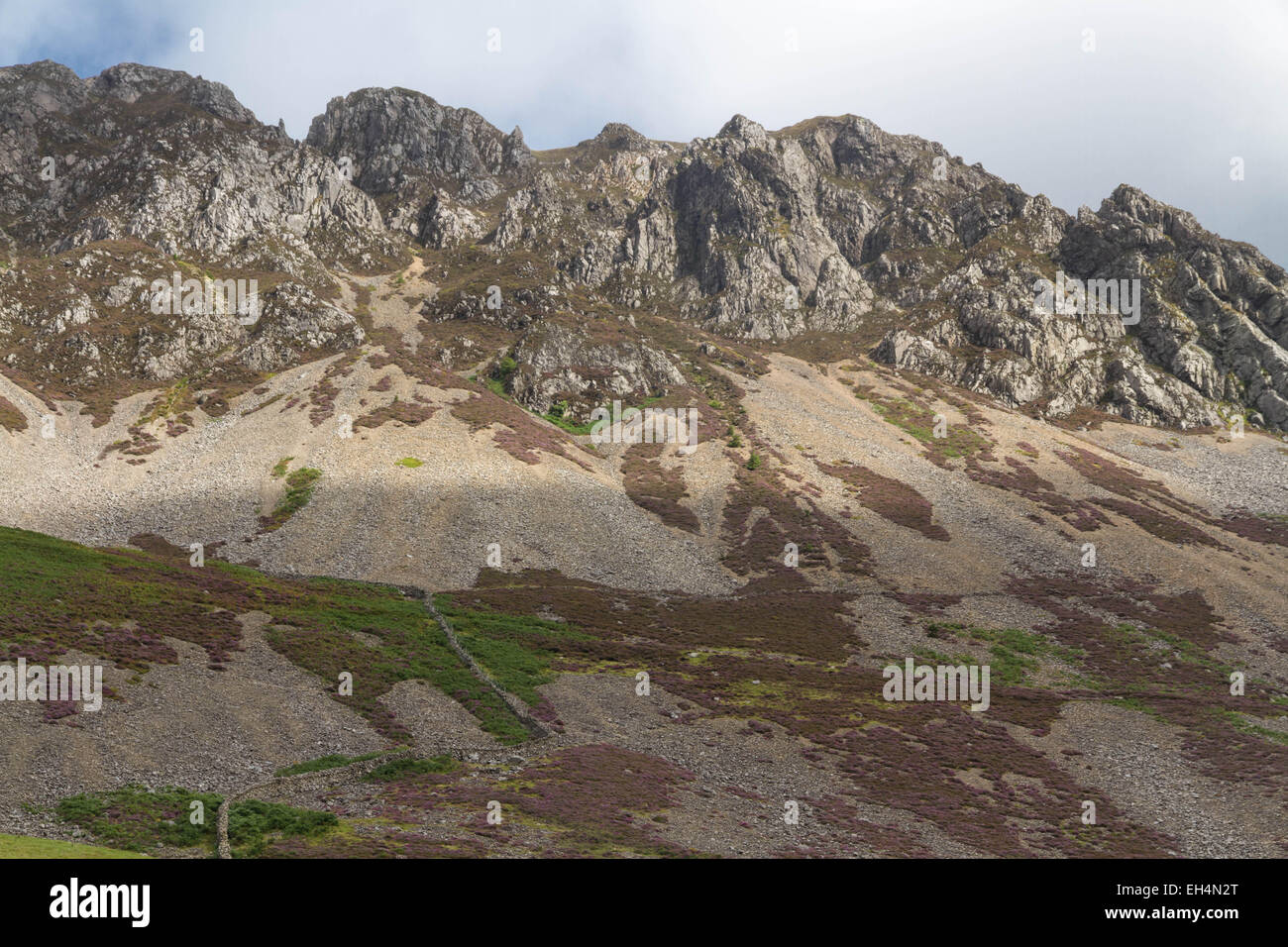 Looking up at sunlit cliffs of Craig-Y-Bera, with scree slopes below ...