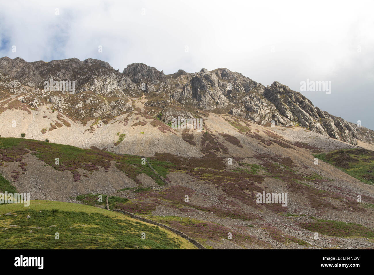 Looking up at sunlit cliffs of Craig-Y-Bera, with scree slopes below ...