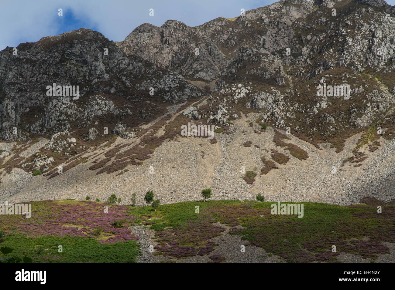 Looking up at sunlit cliffs of Craig-Y-Bera, with scree slopes below ...