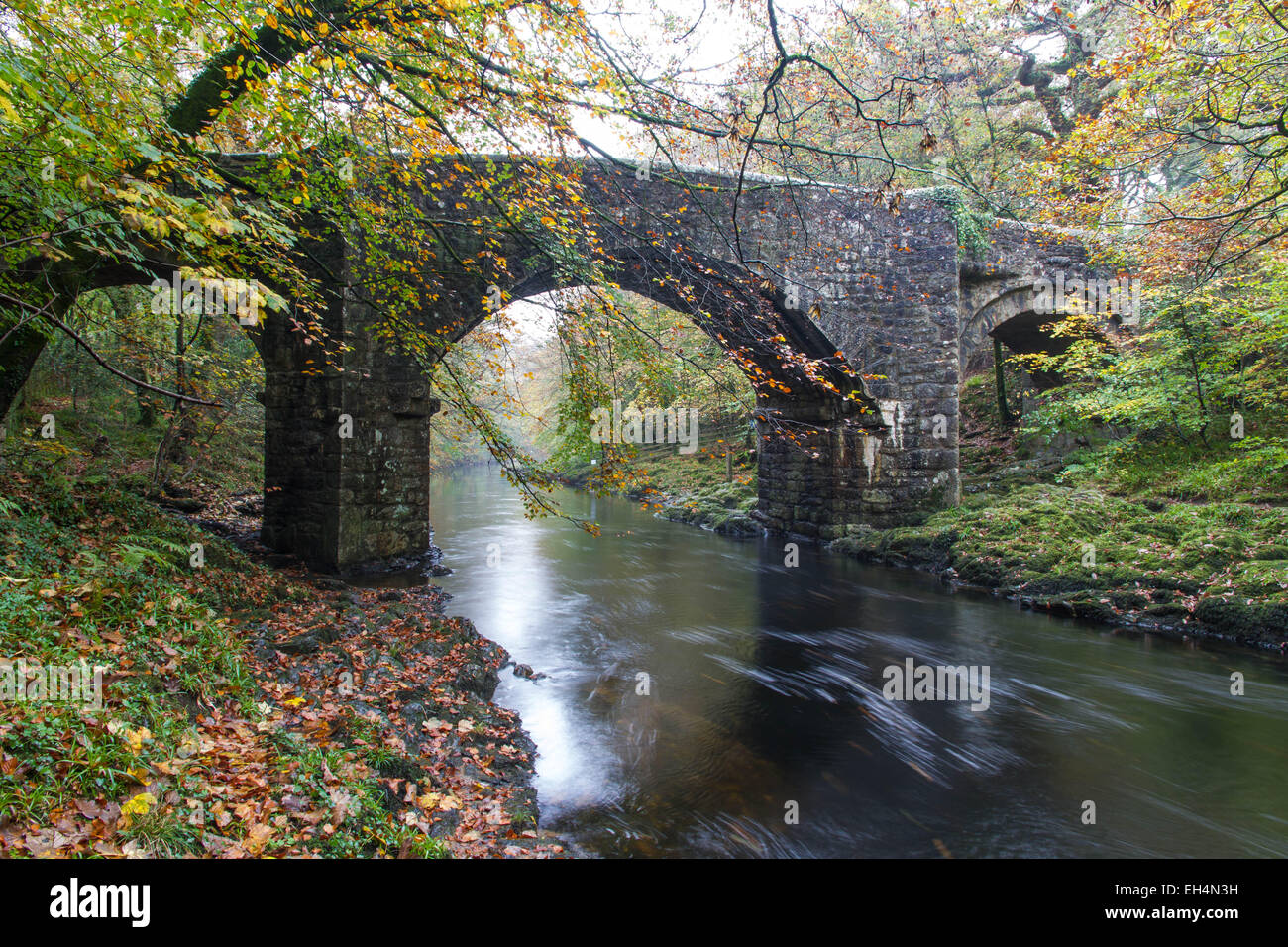 The River Dart and Holne Bridge. Dartmoor National Park, Devon, England ...