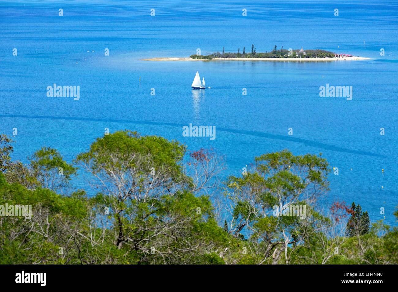 Noumea New Caledonia Tree High Resolution Stock Photography and Images ...