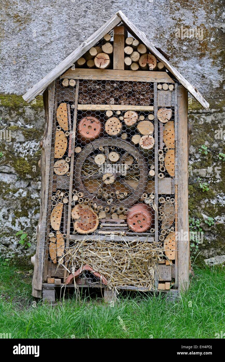 Insects of france hi-res stock photography and images - Alamy